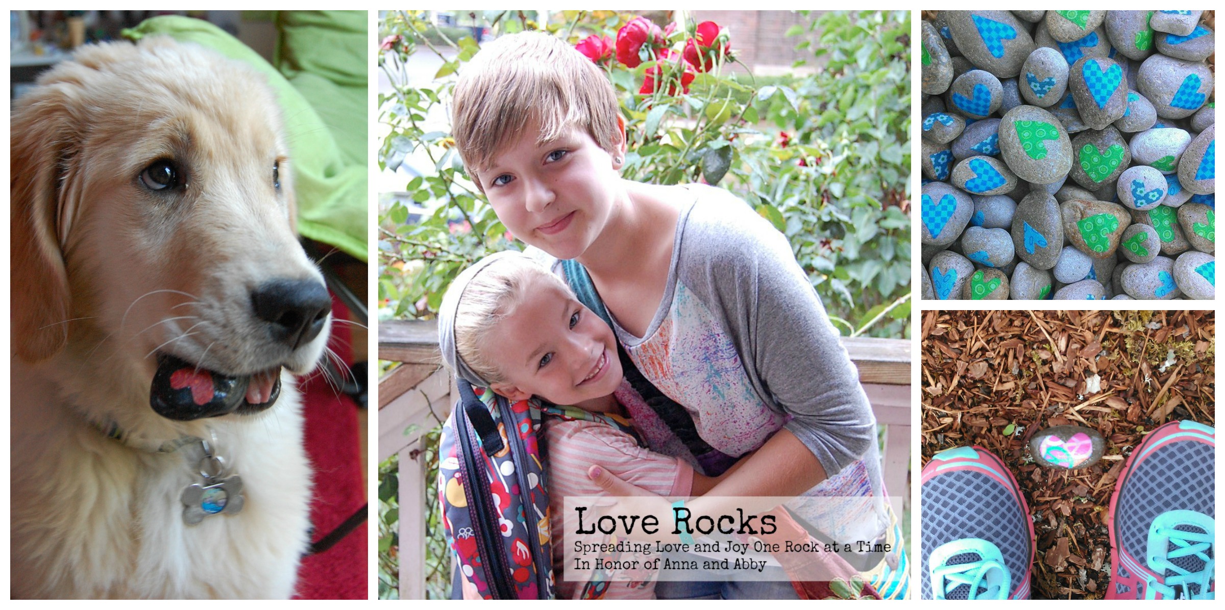 The Love Rocks Story